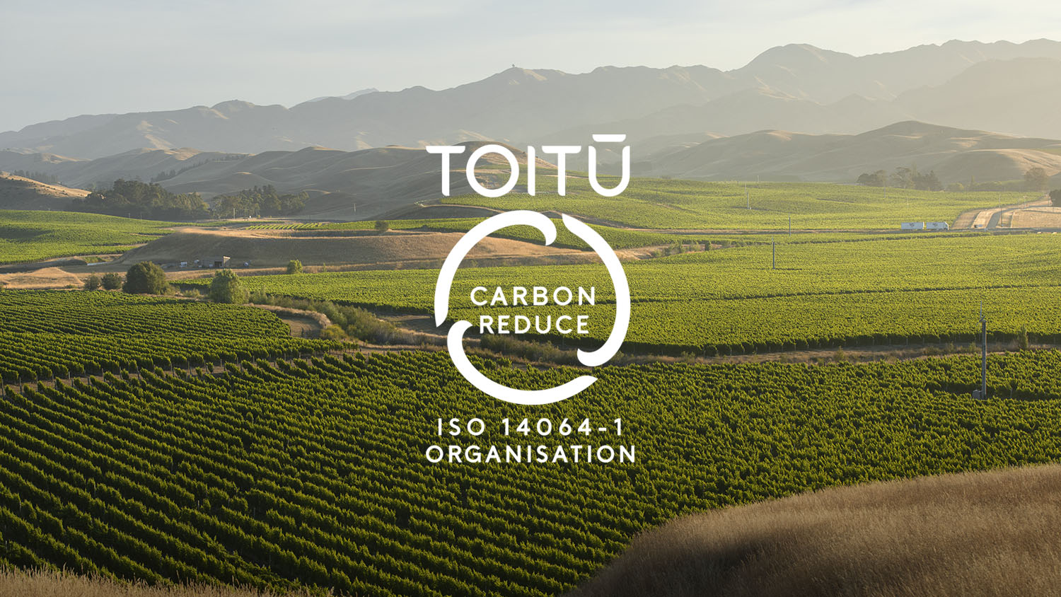 Sustainability | New Zealand Wine