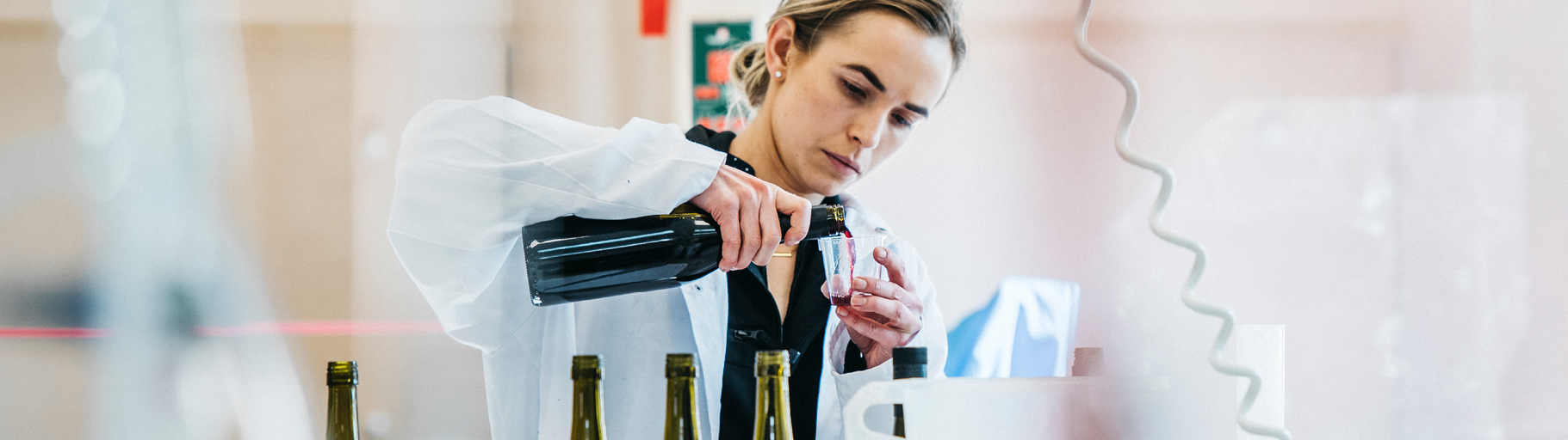 New Zealand Wine Industry Careers | New Zealand Wine