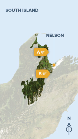 Nelson | New Zealand Wine