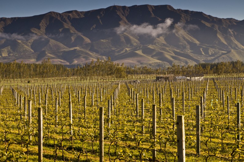 Waitaki Valley Wine Region | New Zealand Wine