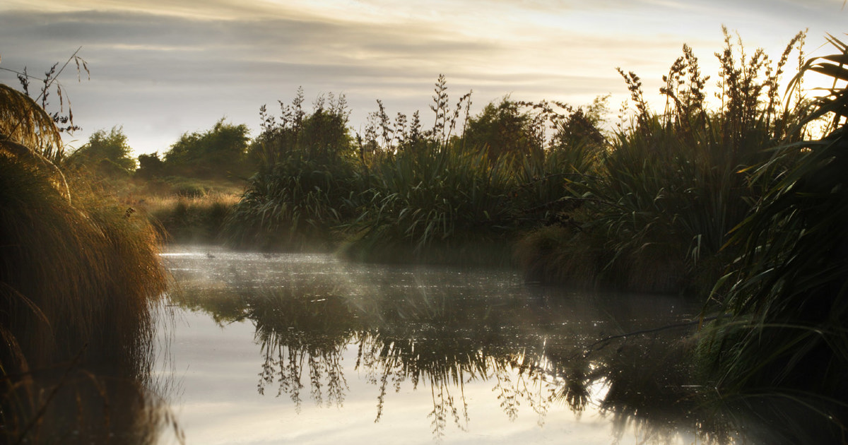 Freshwater Farm Plans | New Zealand Wine